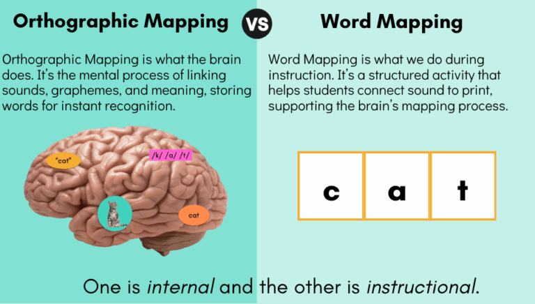 How Do We Learn New Words? Orthographic Mapping - Sarah's Teaching Snippets