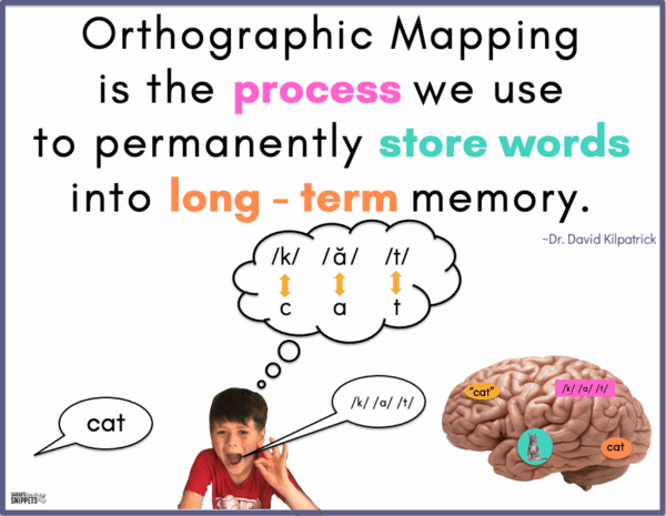 How Do We Learn New Words? Orthographic Mapping - Sarah's Teaching Snippets