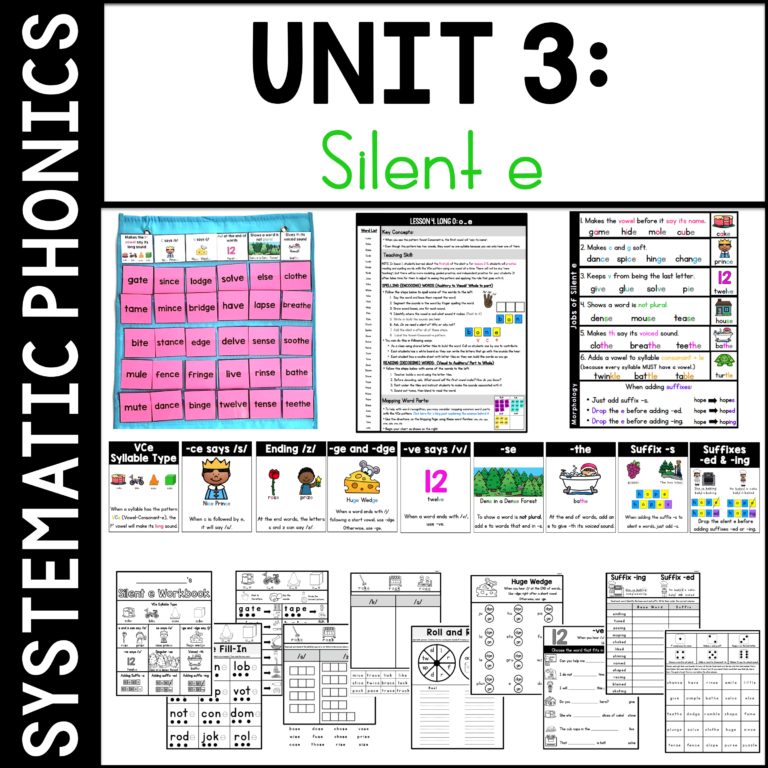 The Jobs of Silent e - Sarah's Teaching Snippets