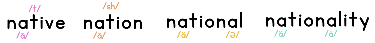 Understanding Morphology: Part 1 - Sarah's Teaching Snippets