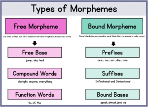 Understanding Morphology: Part 1 - Sarah's Teaching Snippets