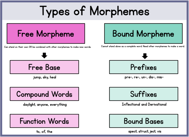 Understanding Morphology: Part 1 - Sarah's Teaching Snippets