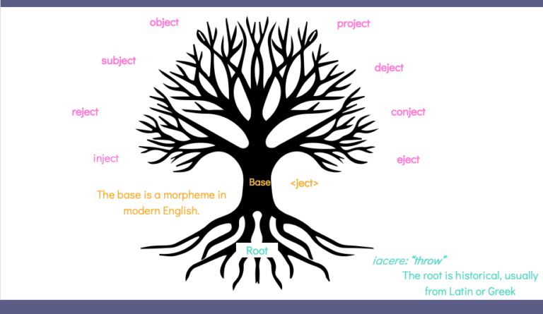 Understanding Morphology: Part 1 - Sarah's Teaching Snippets