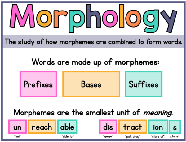 Understanding Morphology: Part 1 - Sarah's Teaching Snippets