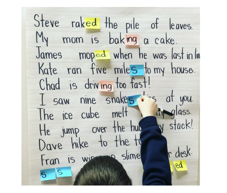 Teaching Morphology to Beginning Readers - Sarah's Teaching Snippets